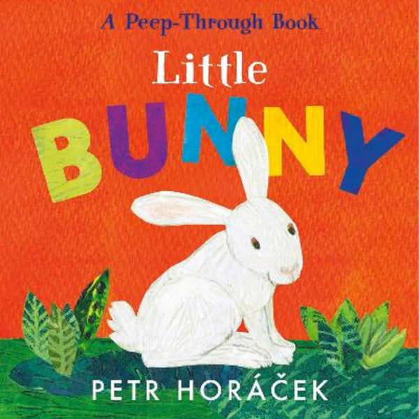 Little Bunny by Petr Horacek – Hello Buttercup